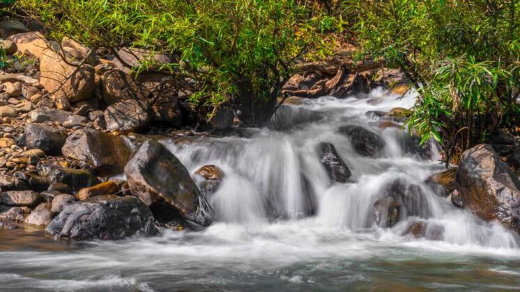 7 Must-See Spots in Simlipal National Park